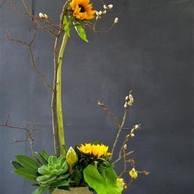 Corporate Business Flowers - Willow Floral Design Florist Nelson