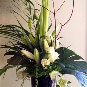 Corporate Business Flowers - Willow Floral Design Florist Nelson