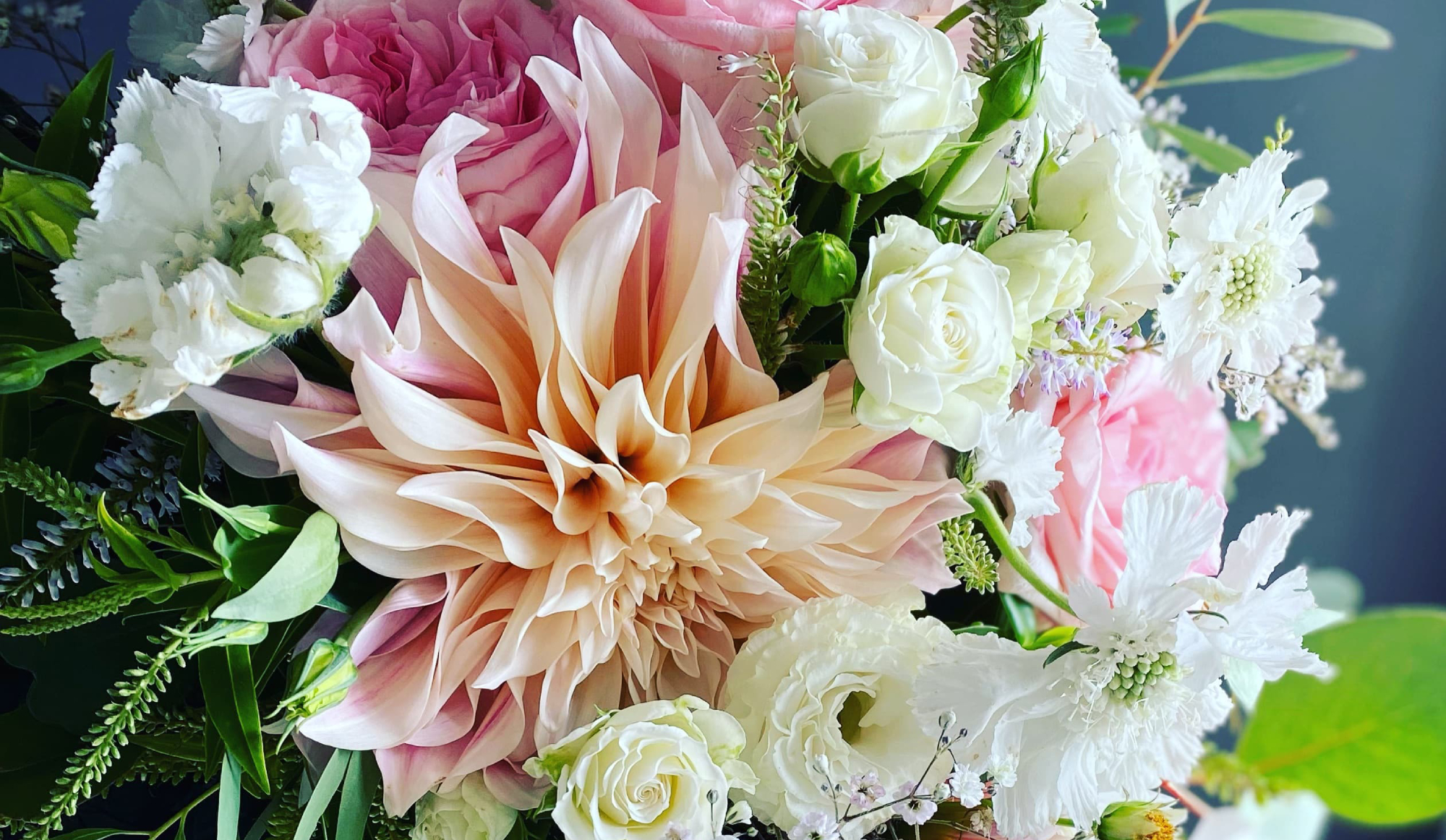 Willow Floral Design Florist Nelson - Online or 03-545 7939
